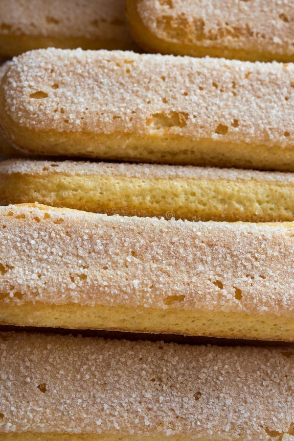 Italian Savoiardi Biscuits Finger Biscuits for Tiramisu Stock Photo ...