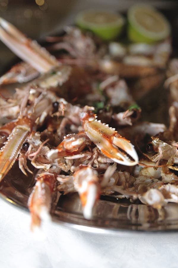 Italian scampi stock image. Image of italian, gourmet - 15890917