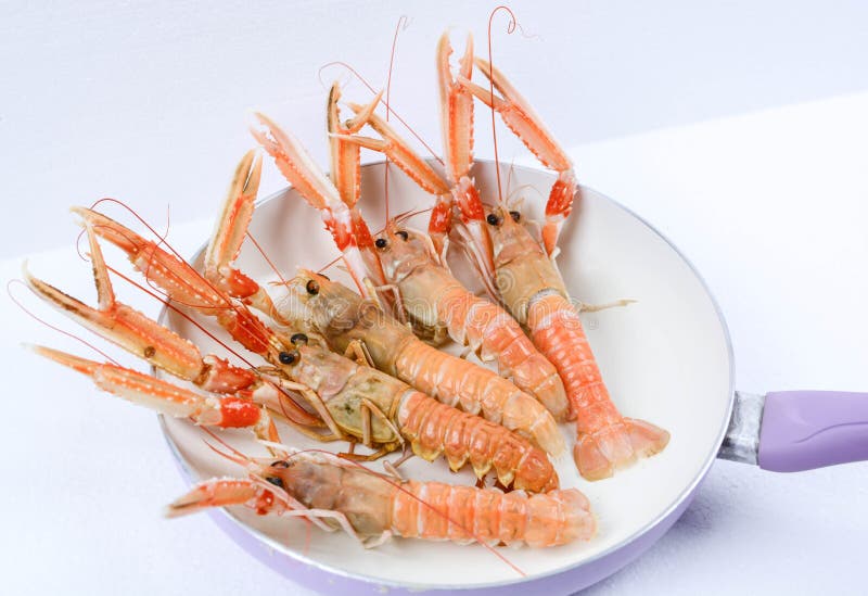 Italian scampi stock image. Image of italian, gourmet - 15890917