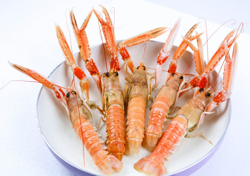 Italian scampi stock image. Image of italian, gourmet - 15890917
