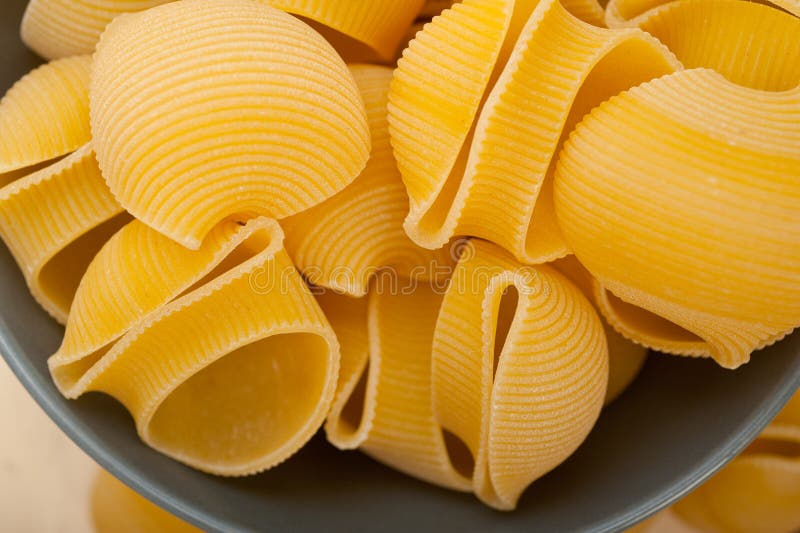 Italian Snail Lumaconi Pasta Stock Photo - Image of snail, closeup ...