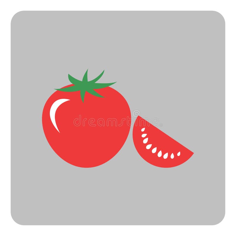 Italian tomato, icon stock vector. Illustration of pasta - 260371498
