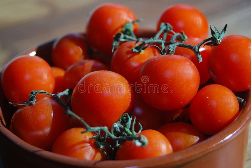 Italian tomatoes stock image. Image of crostini, chicken - 23638407