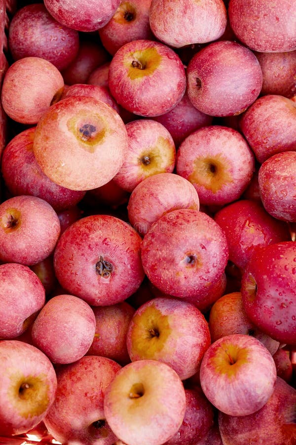 Italian typical apples stock photo. Image of natural - 82550808