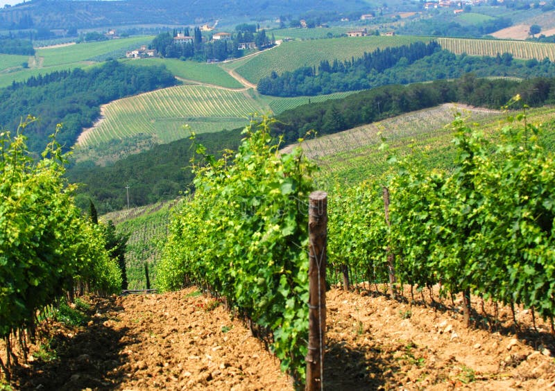 Italian countryside stock image. Image of area, cultivated - 5782161