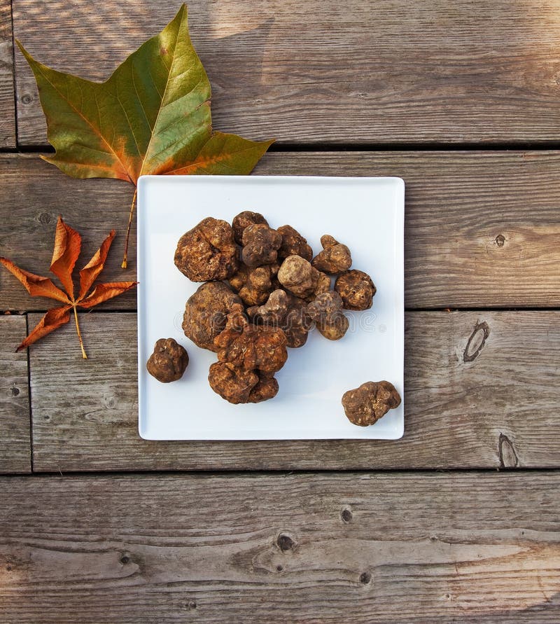 Italian white truffles stock photo. Image of delicious - 47441408