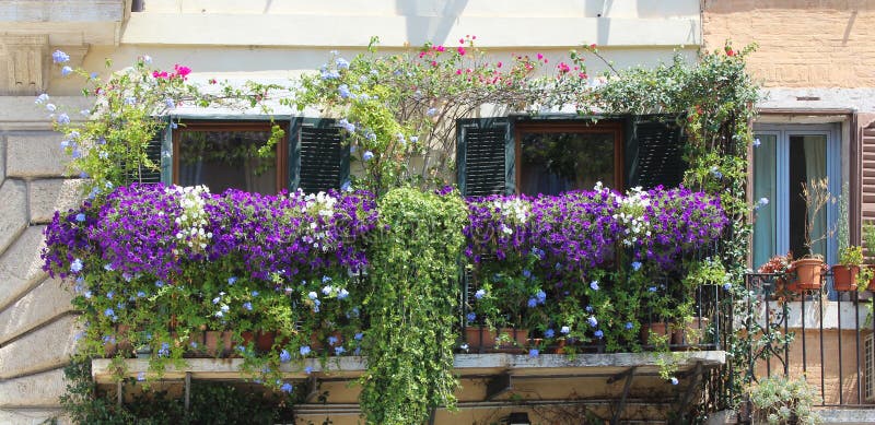 Italian windows stock photo. Image of navona, architecture - 84996646