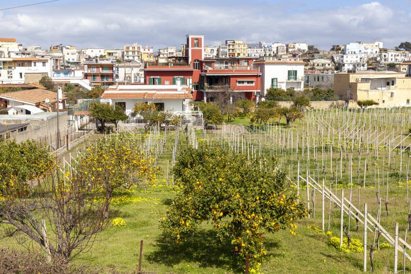 Italy, Campania, Bacoli stock photo. Image of beach - 162878210