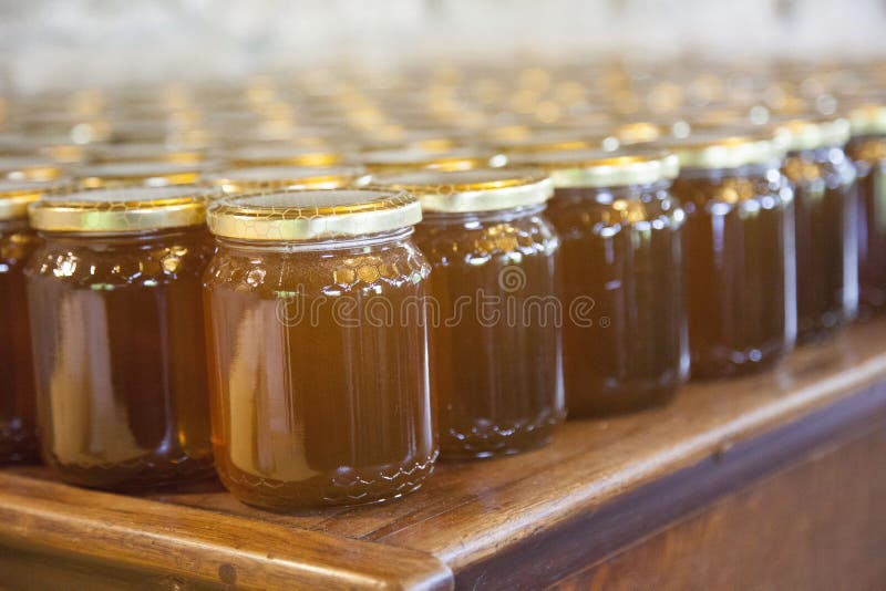 Honey Factory stock photo. Image of communication, beekeeping - 15388224