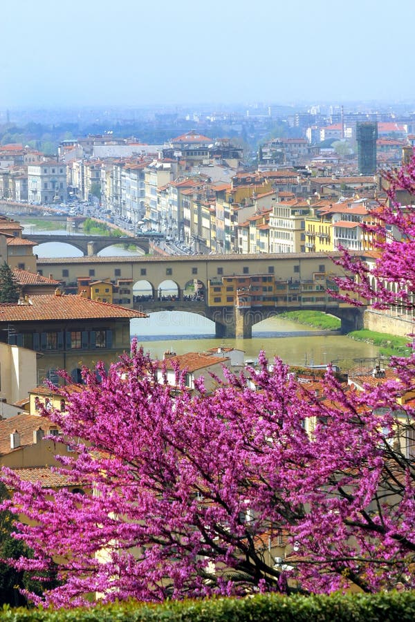 Italy,Florence, editorial photo. Image of bridge, italy - 63890286