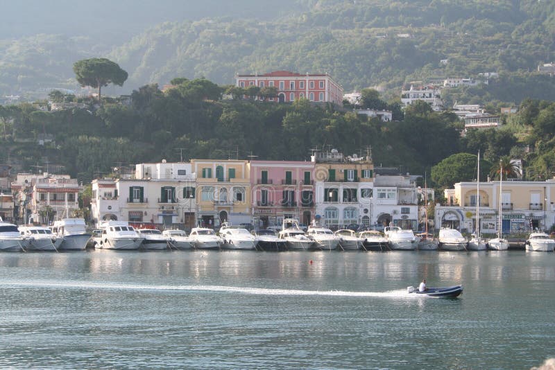 Italy. Island Ischia. stock image. Image of bush, region - 4811543