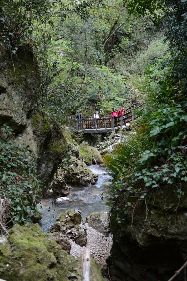Italy, Landscape Waterfall in the Forest Appennini Montain Editorial ...