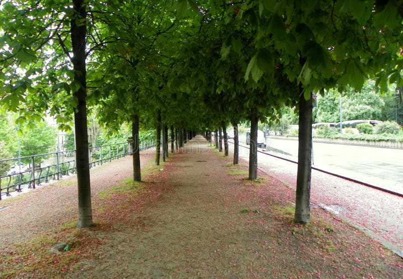Italy, Milan, Republic Square, Pedestrian Walkway with Trees Stock ...