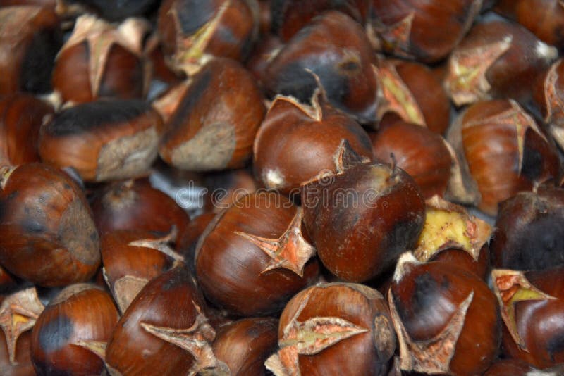 Italy : Roasted Chestnuts in a Special Pan Over,October 15,2022 Stock ...
