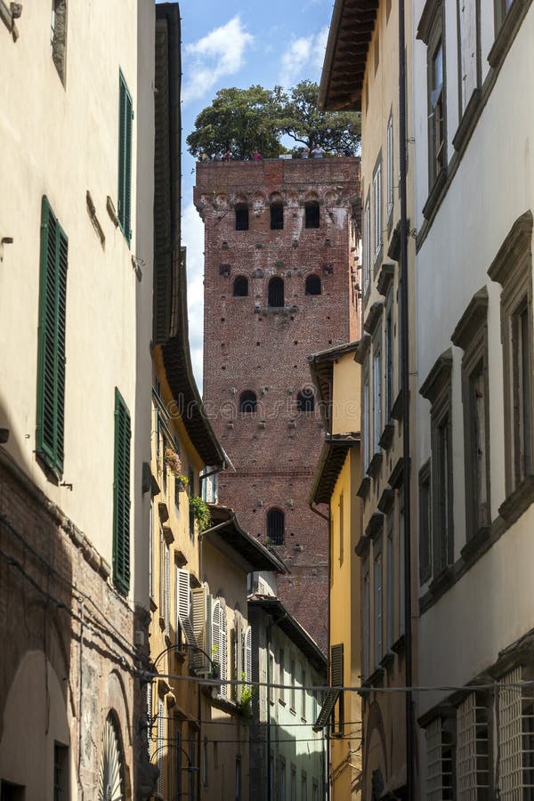 Italy - Tuscany - Lucca - the Guinigi Tower Stock Image - Image of ...
