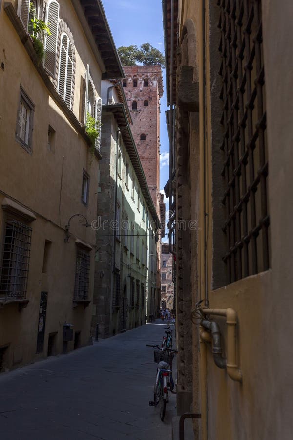Italy - Tuscany - Lucca - the Guinigi Tower Stock Image - Image of ...
