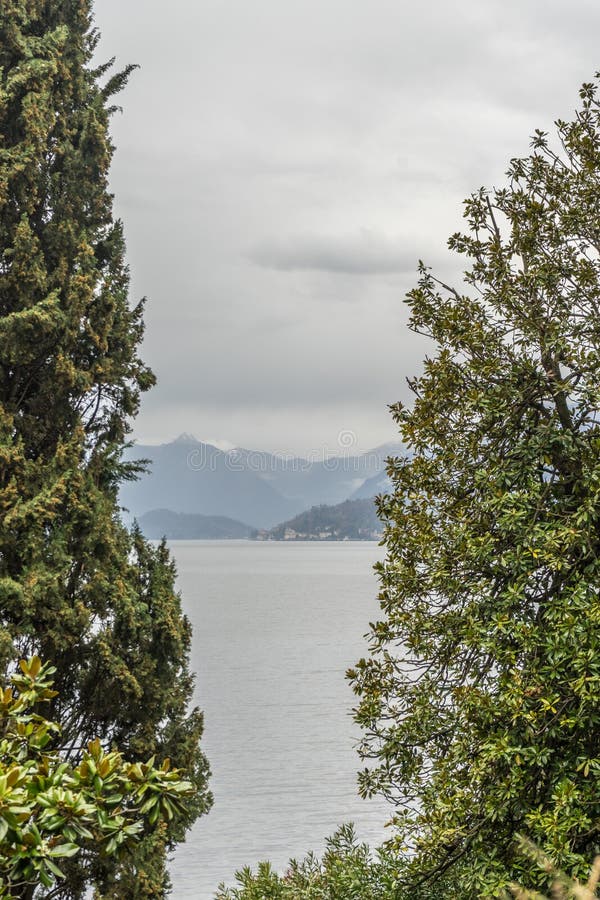 Italy, Varenna, Lake Como, a Large Tree in a Forest Overlooking a Lake ...