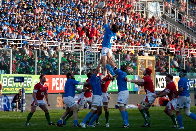 Rugby Match Italy Vs South Africa - Josh Sole Editorial Photo - Image ...