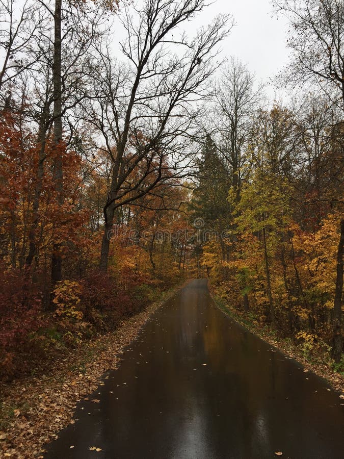 Itasca state park stock photo. Image of trees, park, road - 78434540