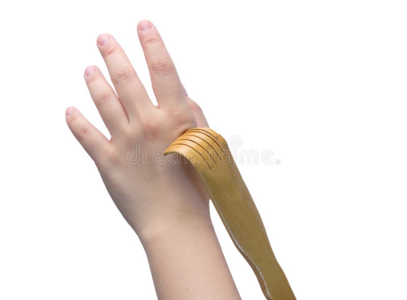 Porridge with Meat stock photo. Image of leaf, breakfast - 38712152