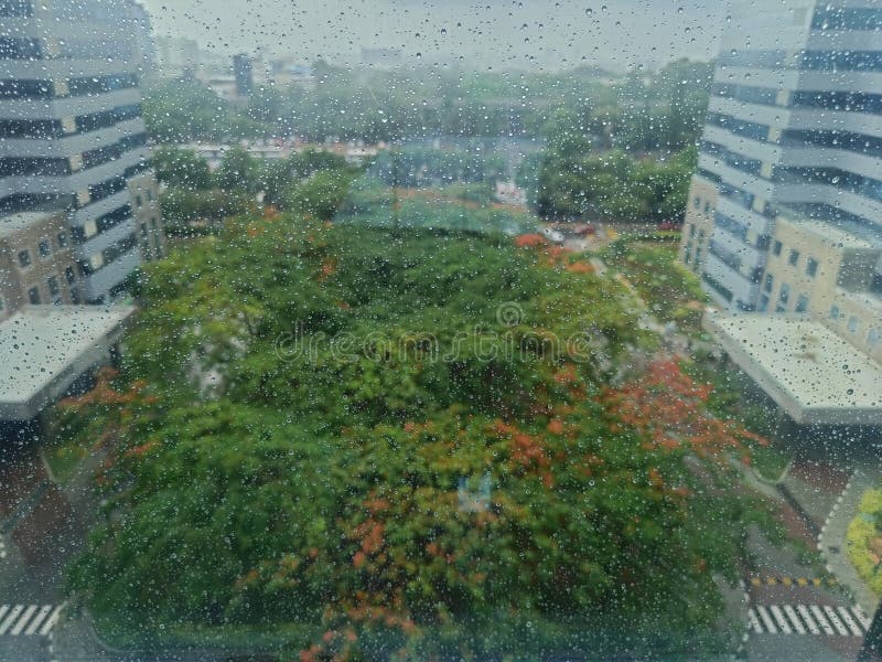 ITPL Tech Park Office Campus, Bengaluru Stock Photo - Image of ...