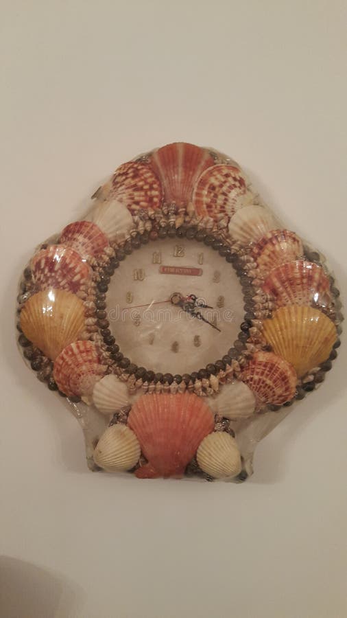 Seashell Collection With Clock 3 Stock Photo - Image of shell, helmet ...