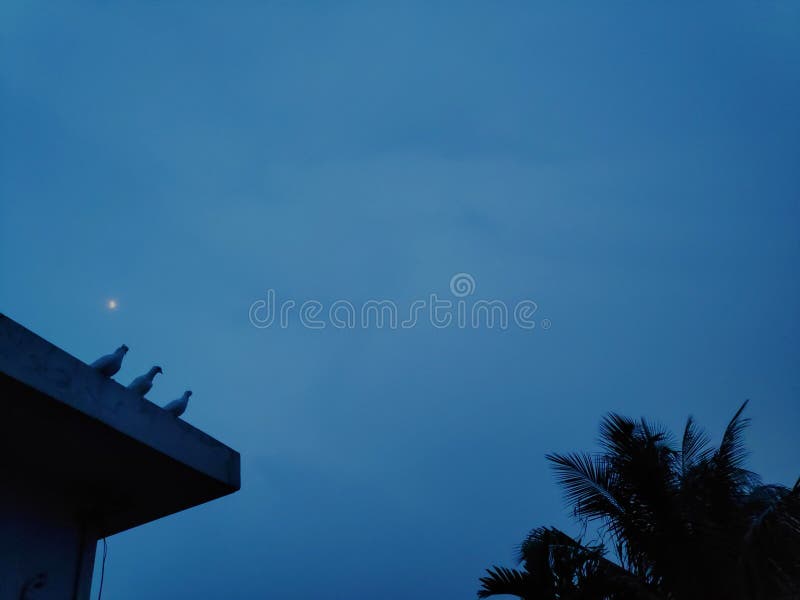 Its Getting Dark, Time To Go Home Stock Image - Image of time, dark ...