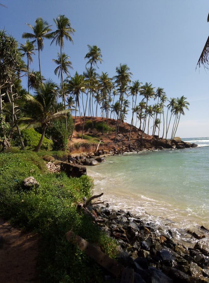 Mirissa Beach Sri Lanka stock photo. Image of travel - 258478130