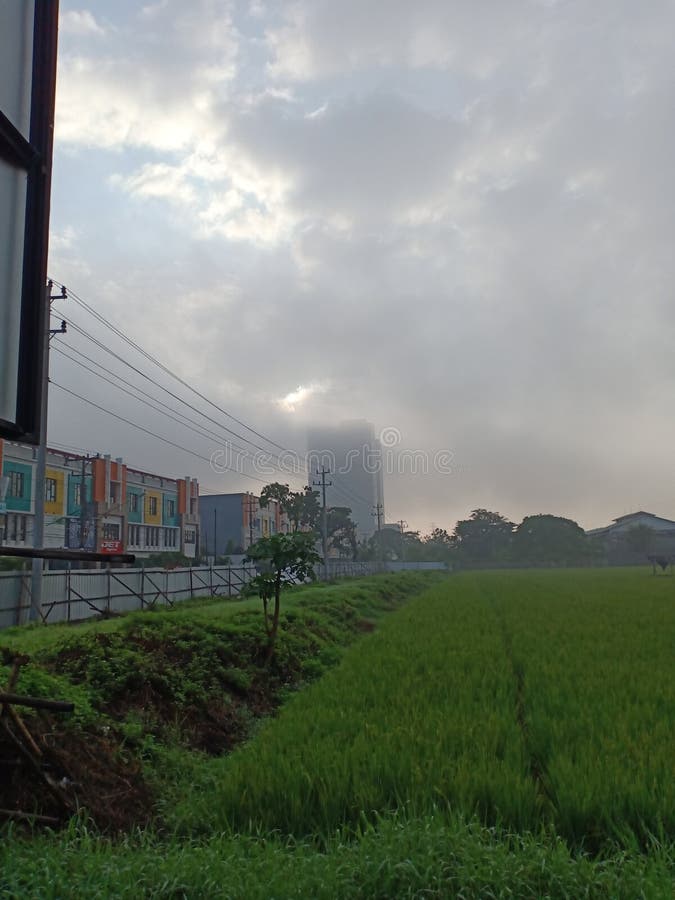 Its Raining in the Building Next To the Rice Fields Stock Photo - Image ...