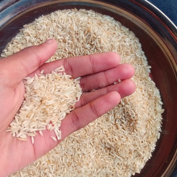 Its a Rice on My Hand with Beautiful Background Image Stock Image ...