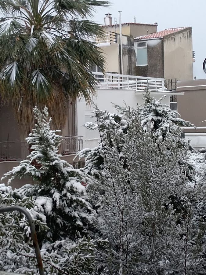 Snow Time stock photo. Image of fresh, earth, details - 83391756