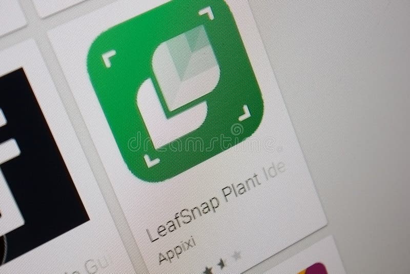 Ivanovsk, Russia - November 28, 2021: LeafSnap Plant Identification App ...