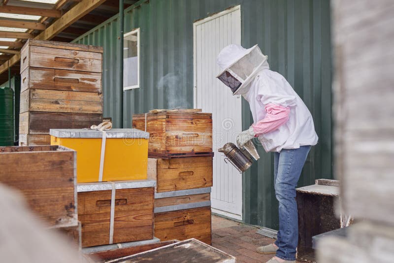 Ive Been a Beekeeper for a while Now. a Beekeeper Using a Bee Smoker ...