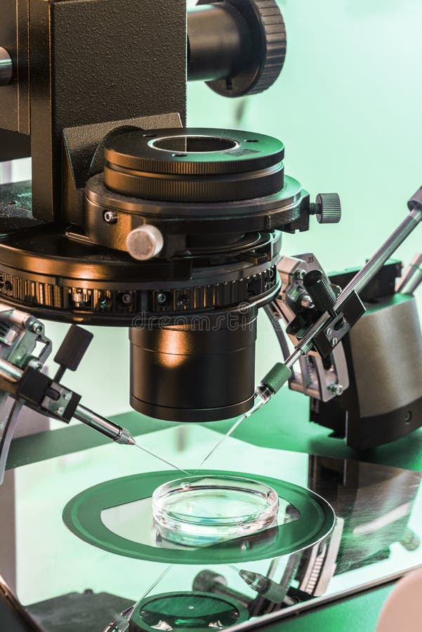 IVF Laboratory Microscope stock photo. Image of fertilizaion - 87277716