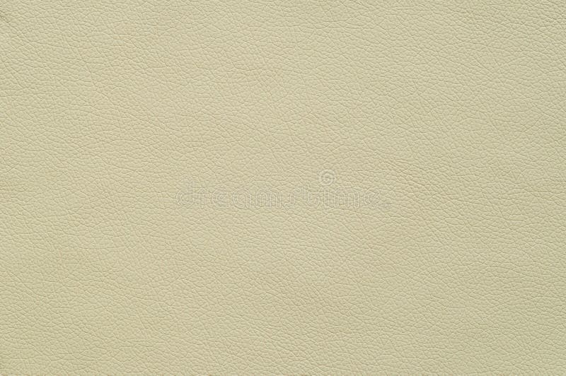 Ivory Artificial Artificial Leather with Large Texture. Stock Photo ...