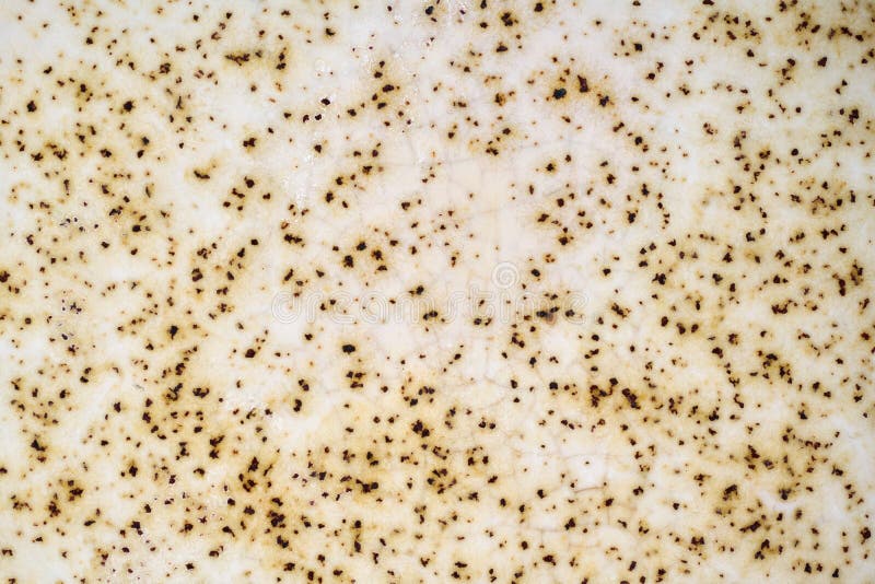 Ivory Ceramic Surface with Cracks and Little Black Splashes of Paint ...