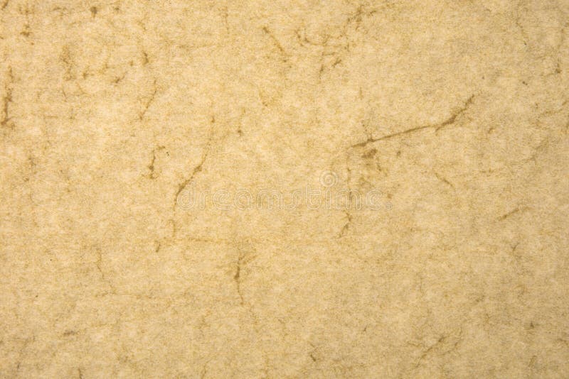 Ivory Paper stock image. Image of blank, texture, closeup - 165065087