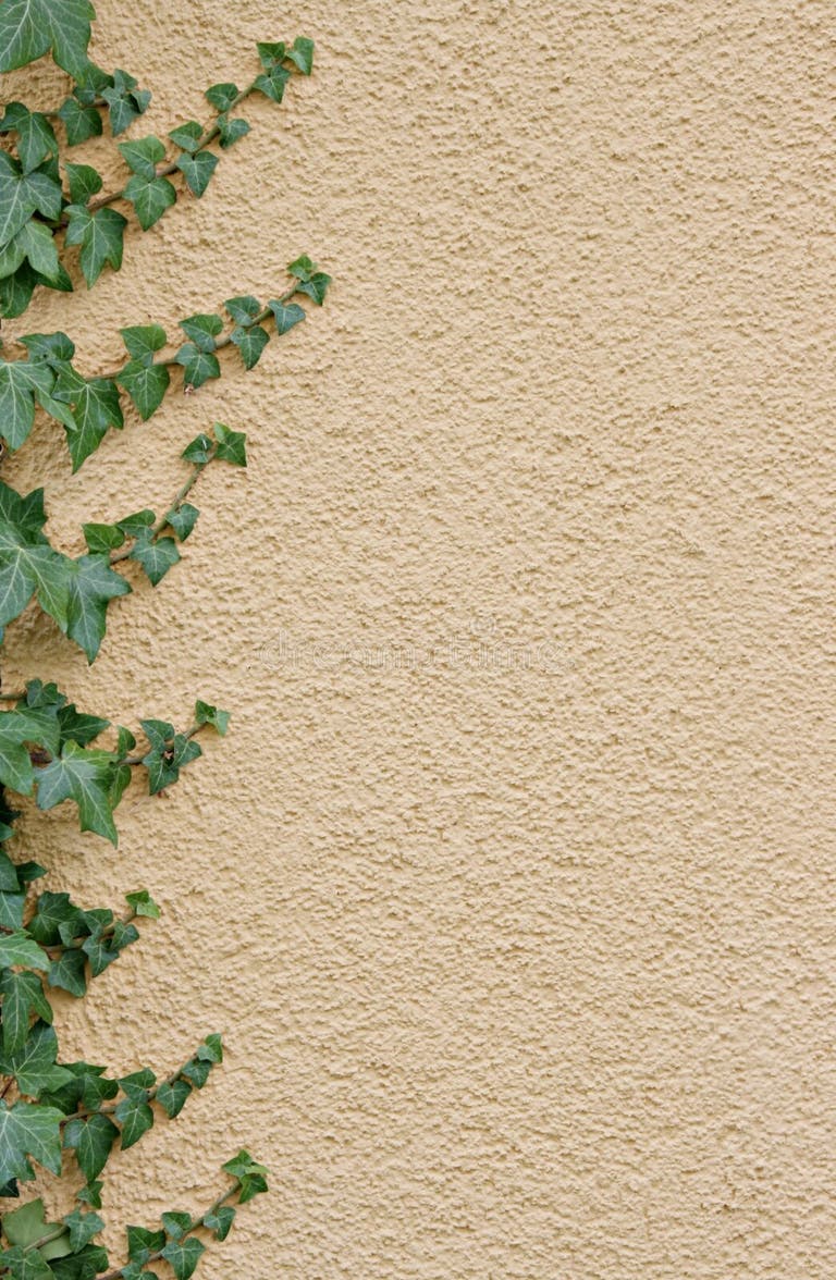 7,451 Ivy Border Stock Photos - Free & Royalty-Free Stock Photos from ...