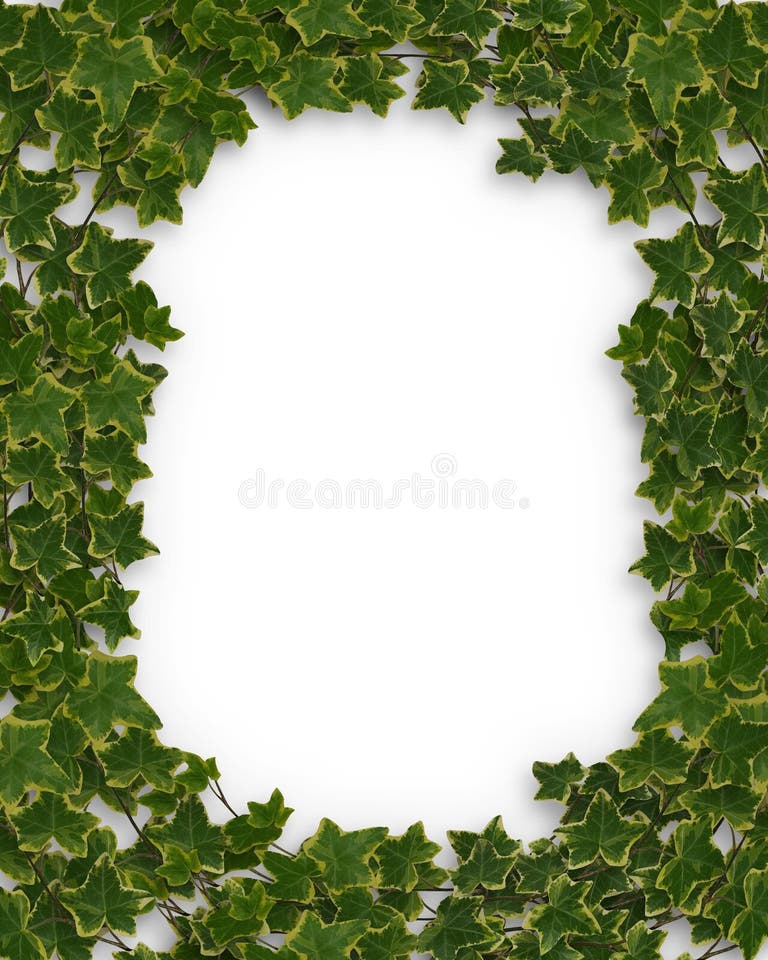 Ivy Border Frame Stock Illustrations – 2,529 Ivy Border Frame Stock ...