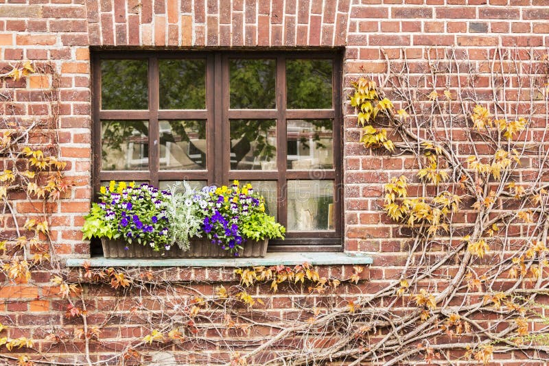 184 Bordered Window Stock Photos - Free & Royalty-Free Stock Photos ...