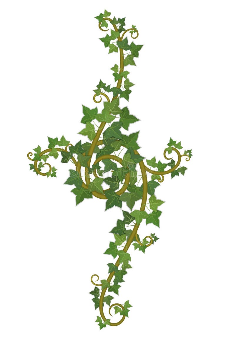 Ivy Branch Stock Illustrations – 9,299 Ivy Branch Stock Illustrations ...
