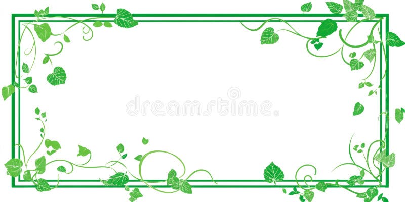 Ivy Branches and Leaves Forming a Rectangular Frame Around a White ...