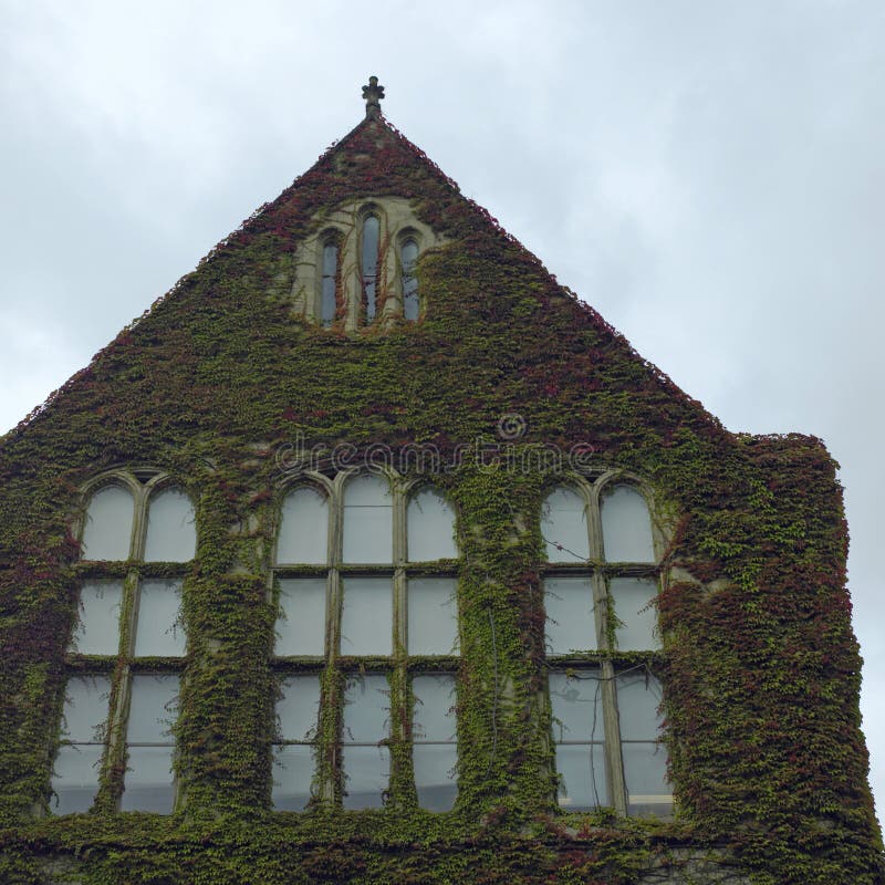 Ivy Covered Building stock image. Image of private, stone - 52117733