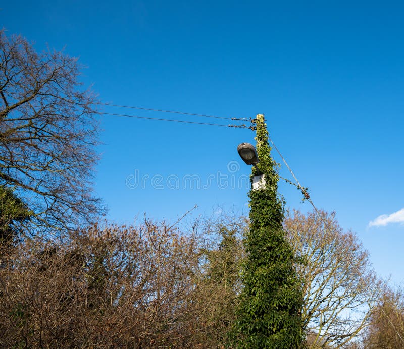 Ivy Covered Lamp Post Stock Photos - Free & Royalty-Free Stock Photos ...