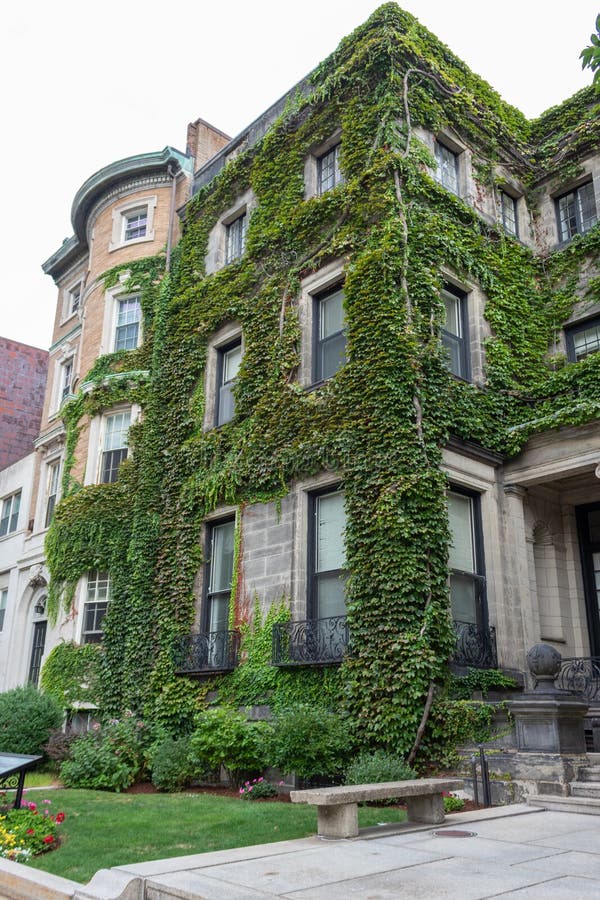 Ivy Covered Professional or Residential Building in an Urban Setting ...