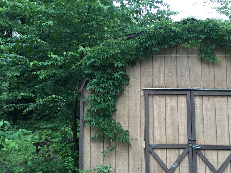 1,806 Covered Shed Photos - Free & Royalty-Free Stock Photos from ...