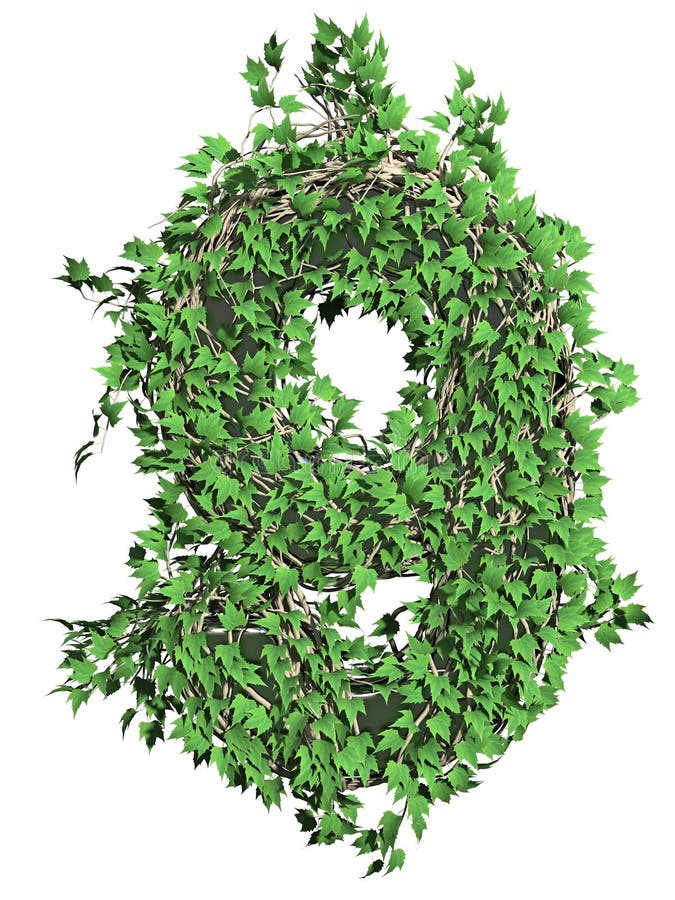 Ivy font stock illustration. Illustration of leaf, deesign - 5635699