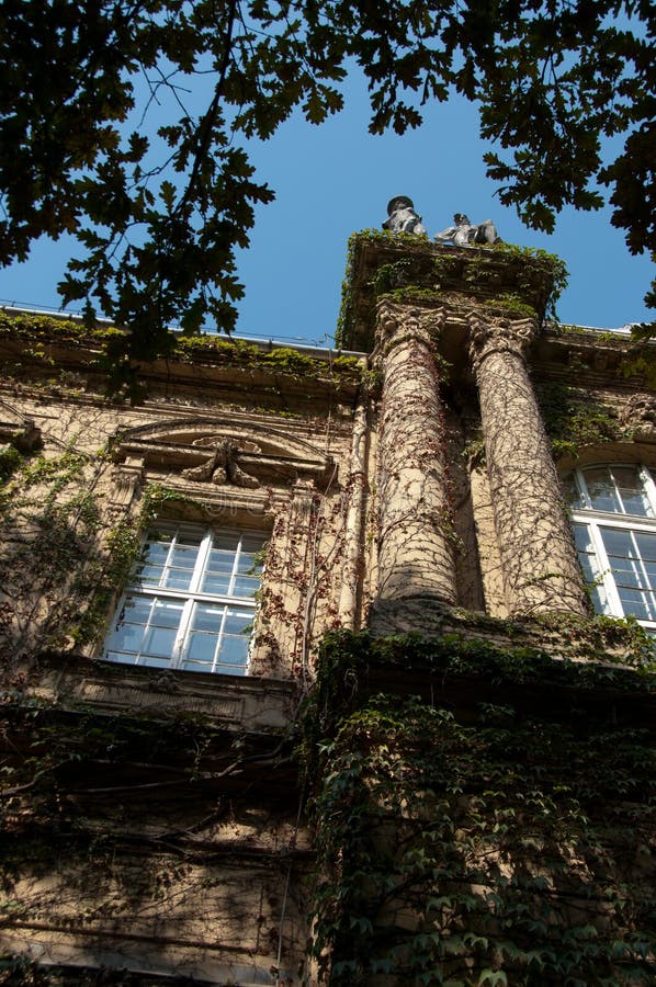 Ivy-grown building stock image. Image of branches, destination - 23631793