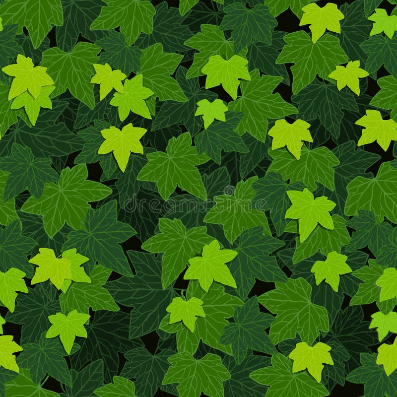 Ivy Pattern Stock Illustrations – 5,375 Ivy Pattern Stock Illustrations ...