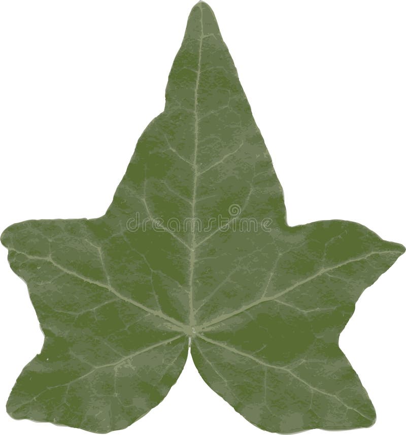 Uk map isolated. stock vector. Illustration of shetland - 9645437